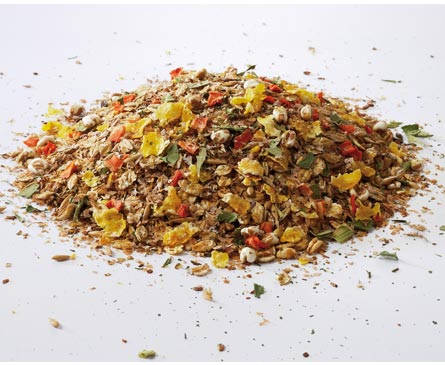 Mash Pour Chevaux Fait Maison | Ventana Blog